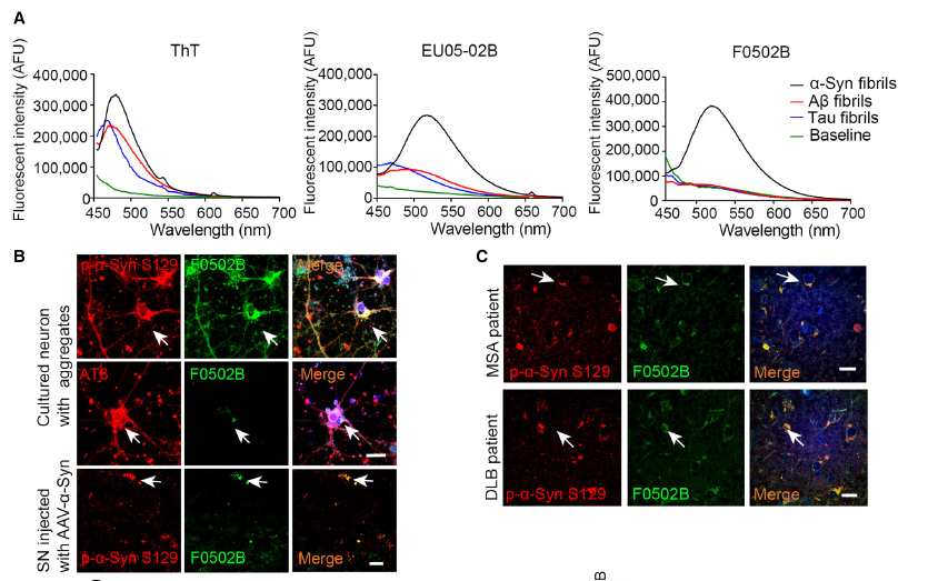 叶克强/李丹/张振涛合作团队最新突破：新型示踪剂可特异识别帕金森病重要致病蛋白 - 知乎