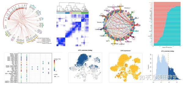 系统的跟着18篇CNS文章学单细胞多组学分析（含空间转录组、chipseq、RNAseq、Atacseq和外显子） - 知乎
