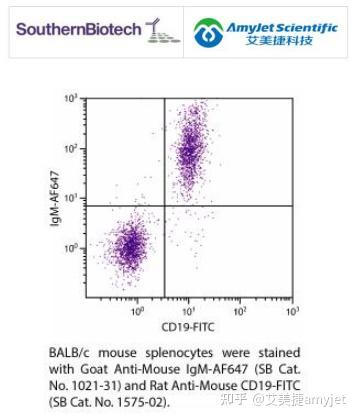 SouthernBiotech 山羊抗鼠IgM生物群说明书 - 知乎