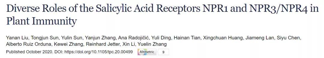 Plant Cell | 张跃林团队揭示水杨酸受体NPR1和NPR3/4在植物免疫中的多重作用 - 知乎