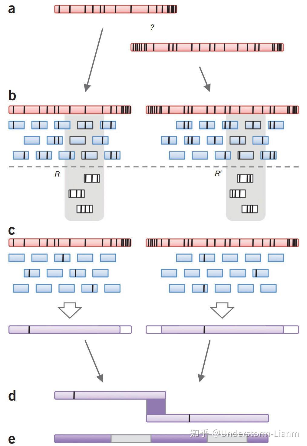 三代测序入门：PacBio数据分析 - 知乎