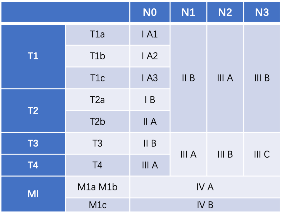肺癌模型知多少，你的肺癌模型用对了吗？ - 知乎