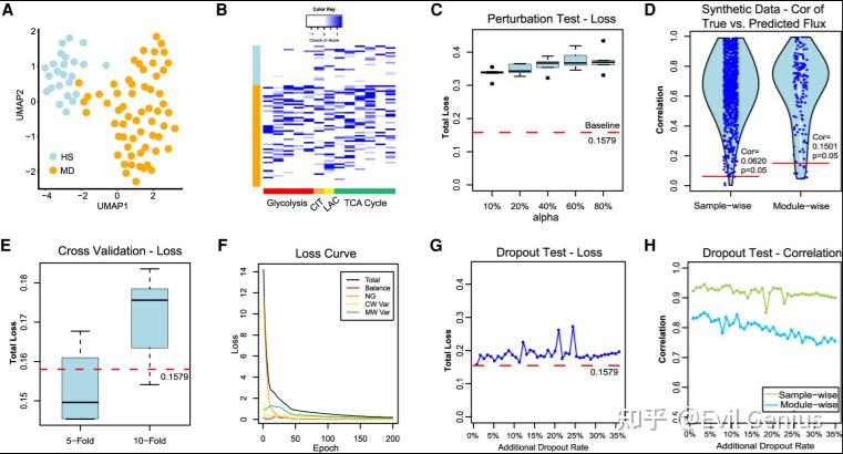 10X单细胞（10X空间转录组）数据分析之代谢推断篇 - 知乎