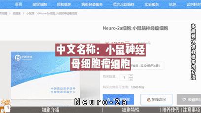 Neuro-2a细胞培养，小鼠神经母细胞瘤细胞培养攻略 - 丰晖生物 - 知乎