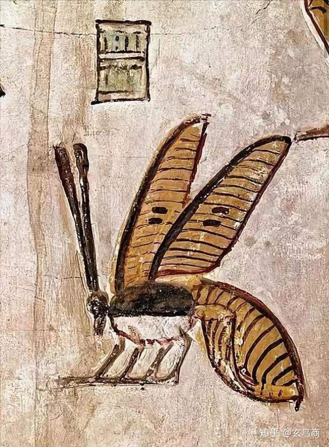 “蜜蜂”与“芦苇”、“眼镜蛇”与“秃鹫”符号到底是上埃及还是下埃及的标志？（二） - 知乎