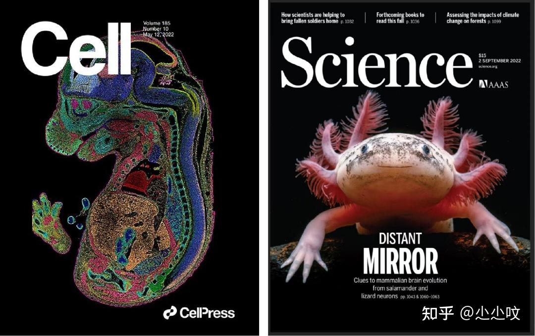 重磅发布 | 时空组学数据库STOmicsDB，“一站式”赋能时空组学研究！ - 知乎
