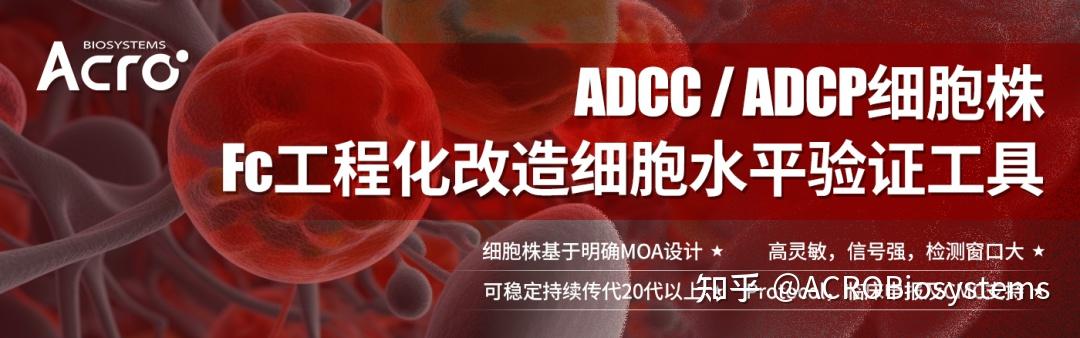 ADCC / ADCP细胞株——Fc工程化改造细胞水平验证工具 - 知乎
