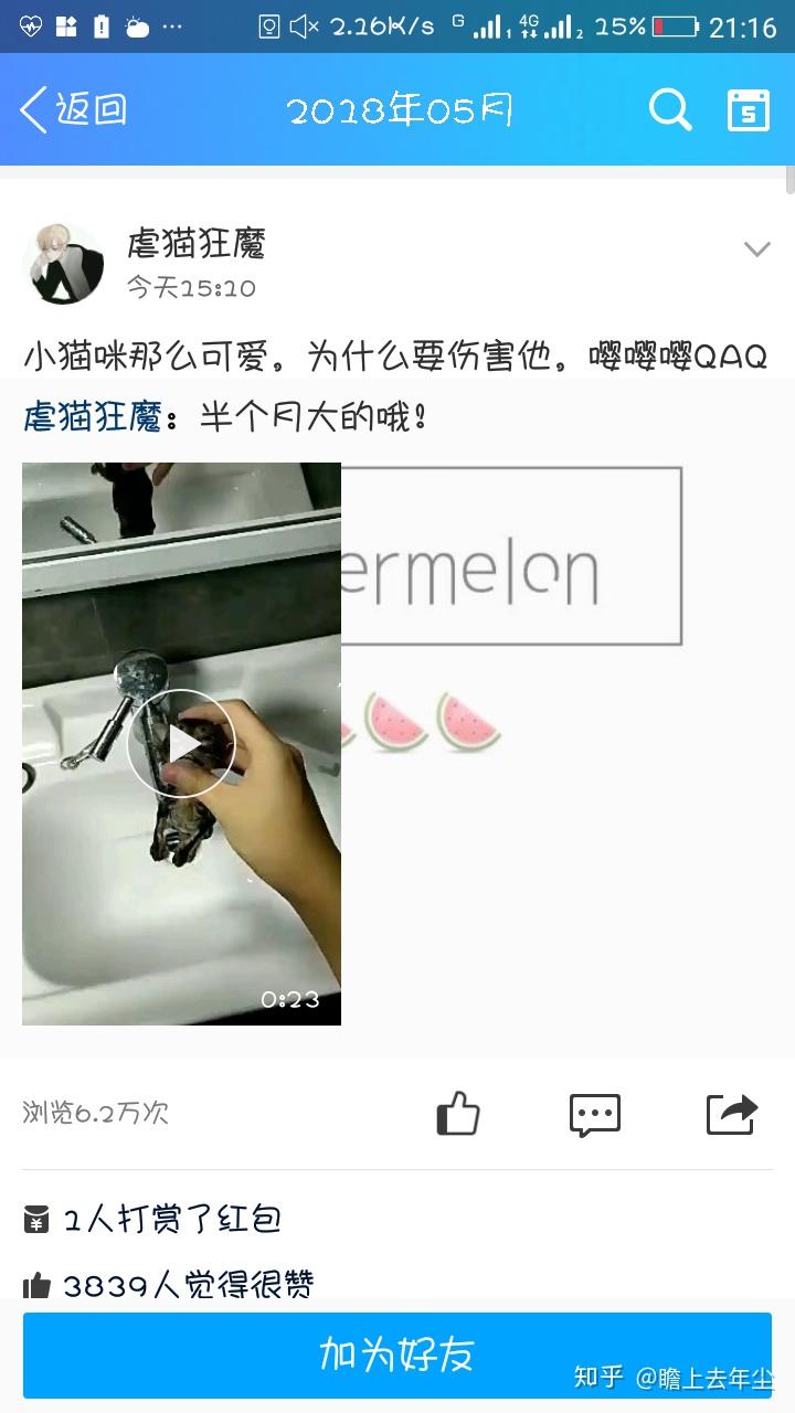 关于虐猫这个事 知乎