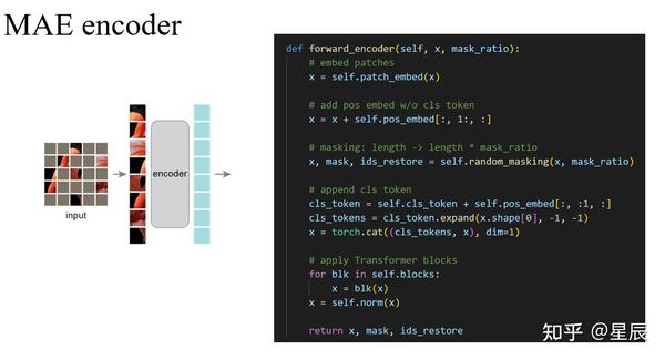 first time-MAE - 知乎