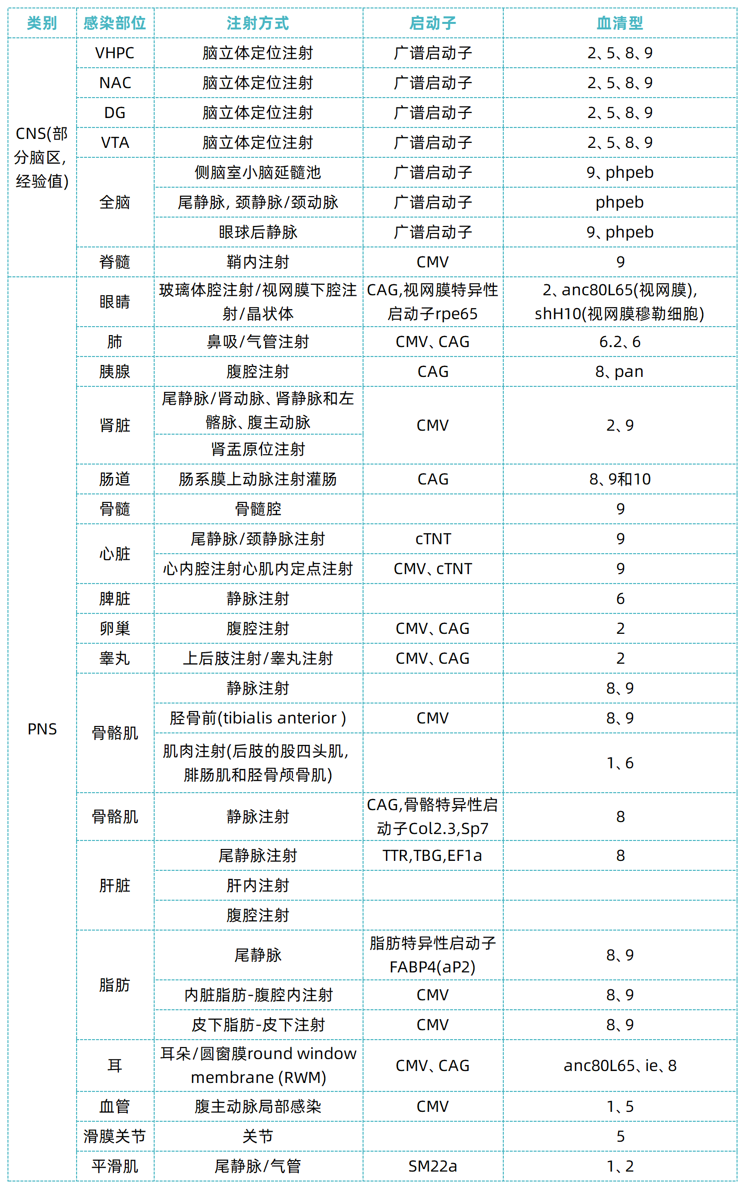 AAV/LV介导基因过表达 - 知乎