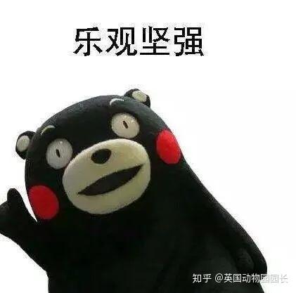 申请秘籍｜关于Argue的那些事儿（更新两名20fall真实argue案例） - 知乎