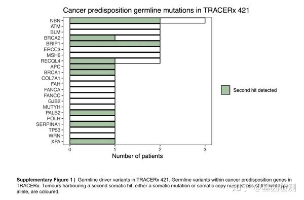 肺癌的进化及TRACERx亚克隆选择的影响 - 知乎