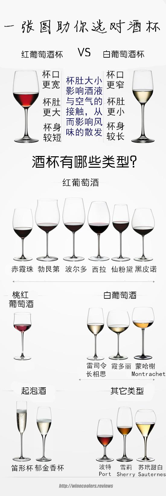 一张图助你选对酒杯 知乎
