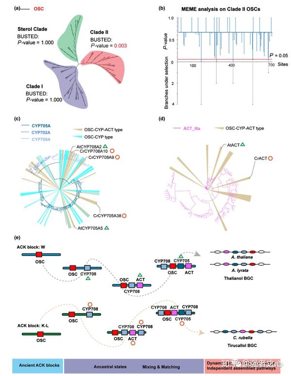 相似基因簇，不同代谢物！ - 知乎