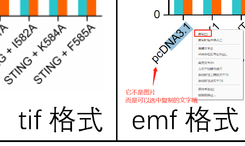 SCI写作/投稿时如何确保PDF中的图片够清晰？ - 知乎