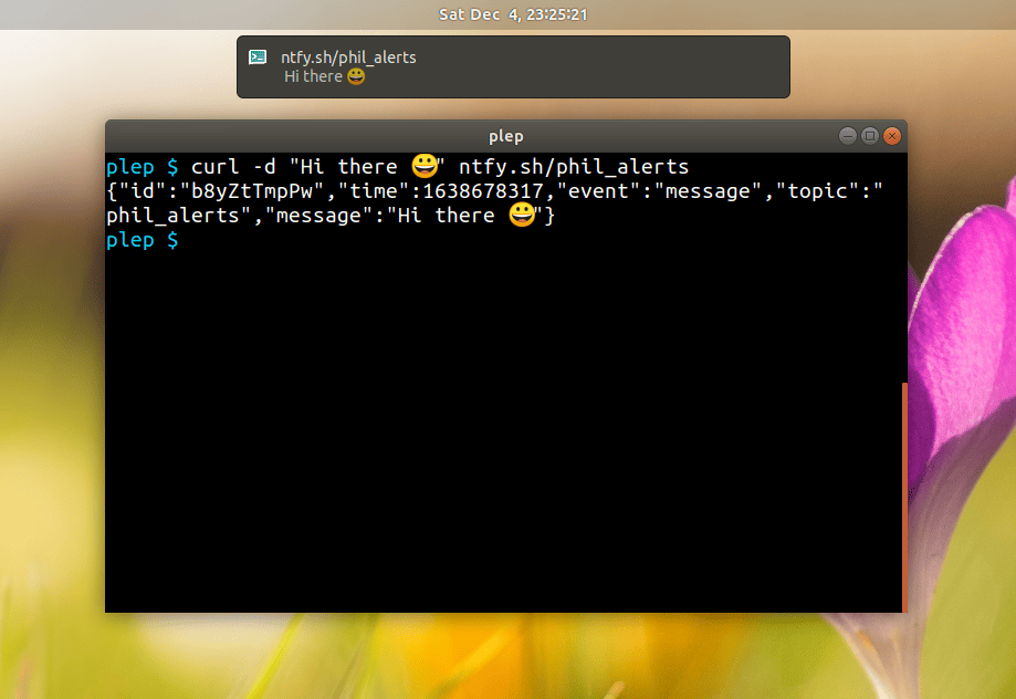 《HelloGitHub》第 114 期 - 知乎