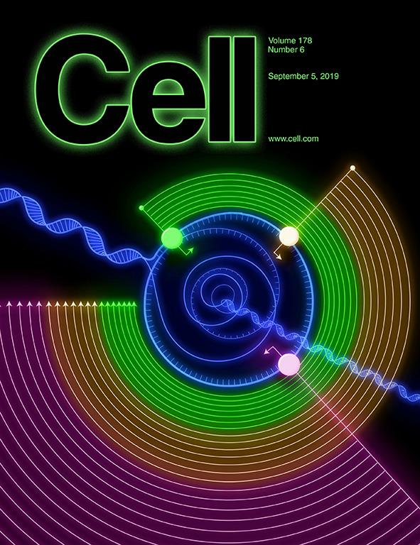 科学与艺术的结合！《CELL》100+张期刊封面鉴赏｜2019年篇 - 知乎