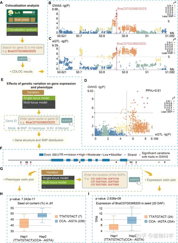 Mol Plant | 华中农大杨庆勇课题组发布“油菜界的TAIR”— BnIR（油菜多组学数据库） - 知乎