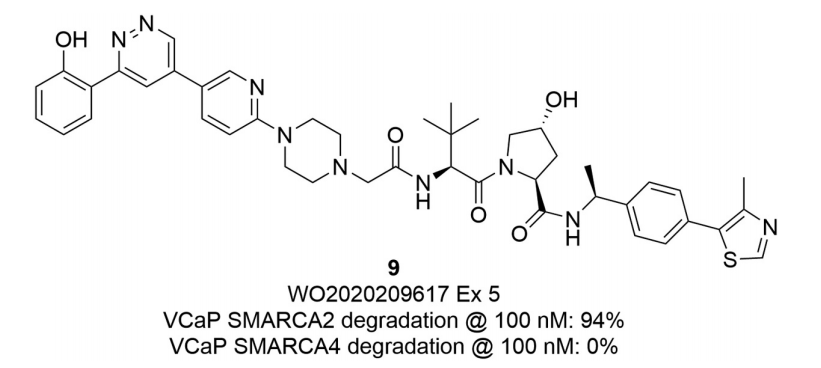 合成致死靶点SMARCA2: PROTAC蛋白降解剂 (专利综述) - 知乎