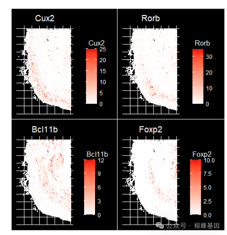 SCS 46.Seurat v5解析单细胞空转数据(Xenium) - 知乎