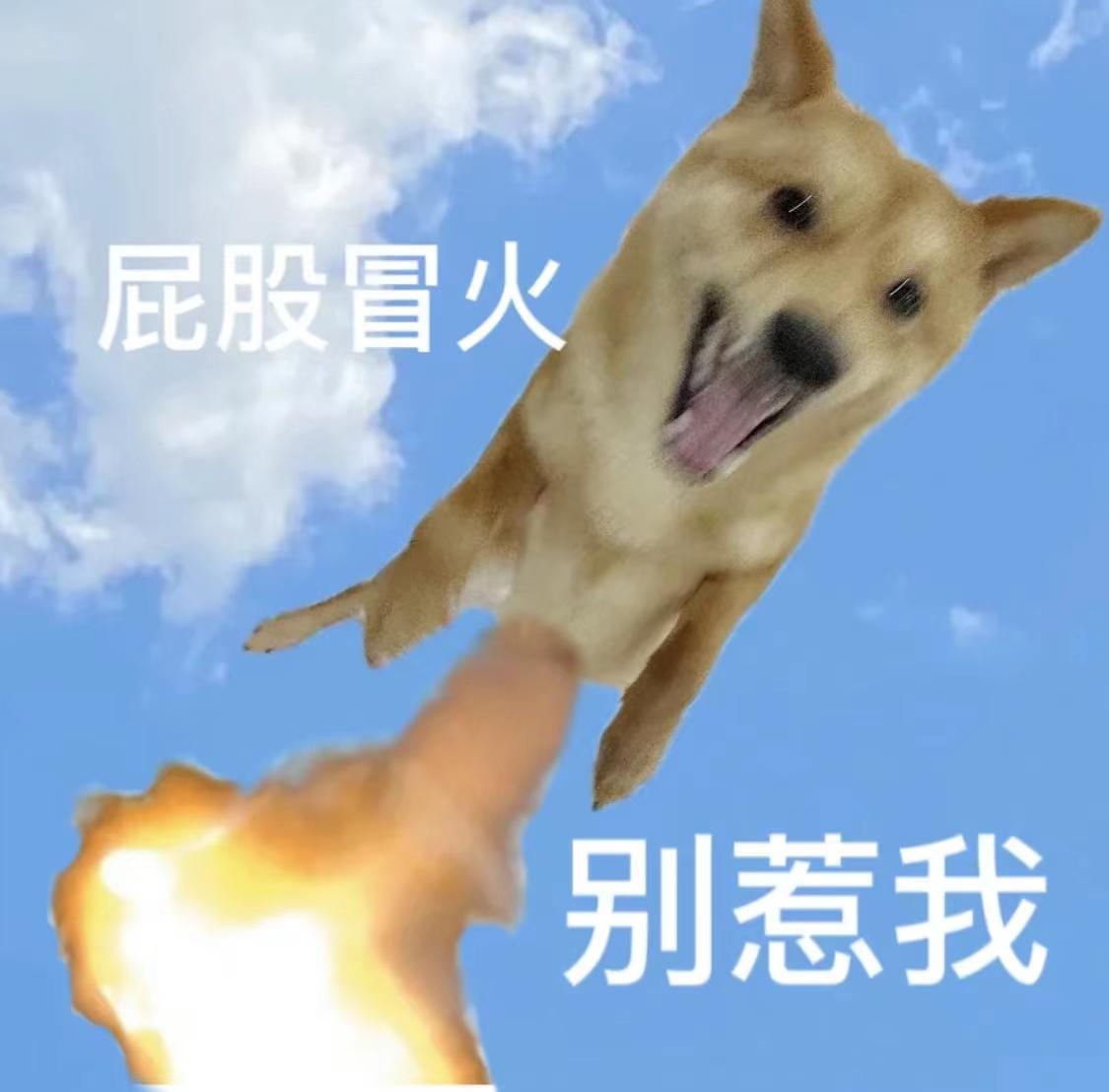 狗狗/沙雕/搞笑/发疯表情包：谁是煞b我不说！ - 知乎