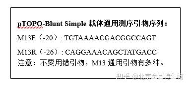 TOPO-Blunt Simple Lightning Cloning Kit - 知乎