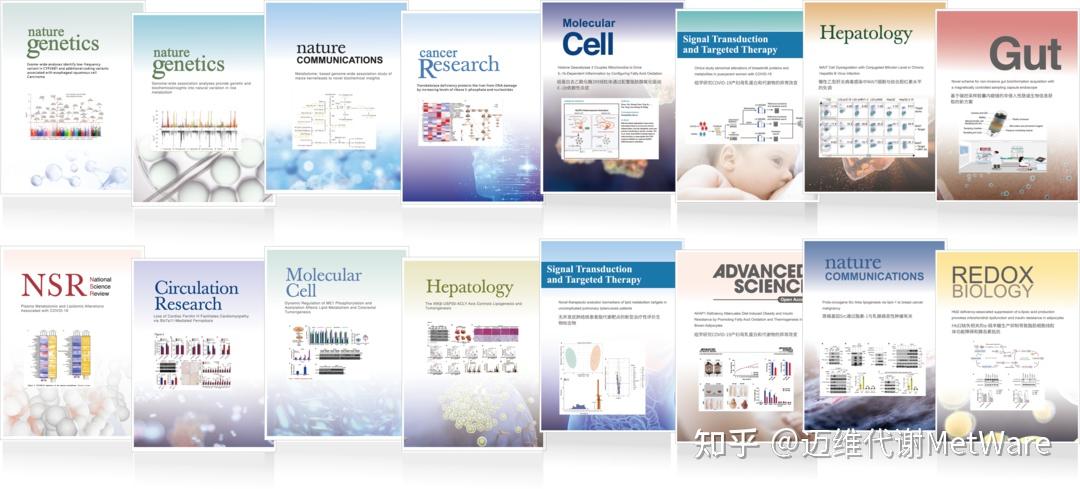 视频实操SCI作图课(3)：OPLS-DA分析，组间差异的挖掘神器 - 知乎