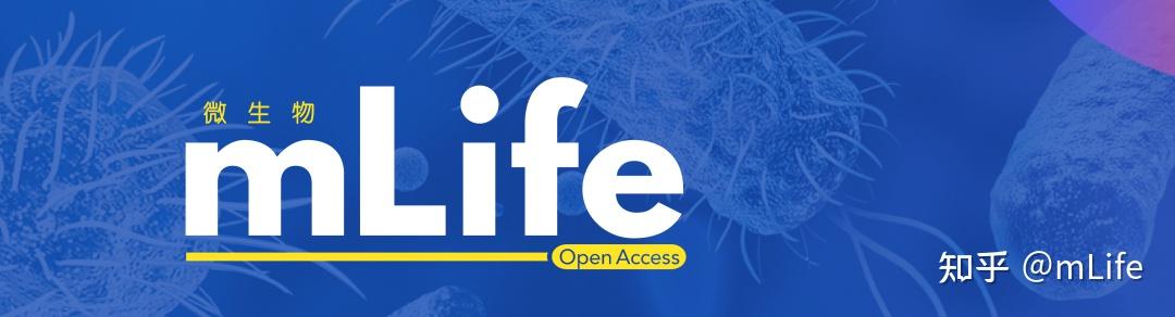 mLife | 开与关的抉择——DnaA蛋白依赖的his操纵子转录衰减核糖开关 - 知乎