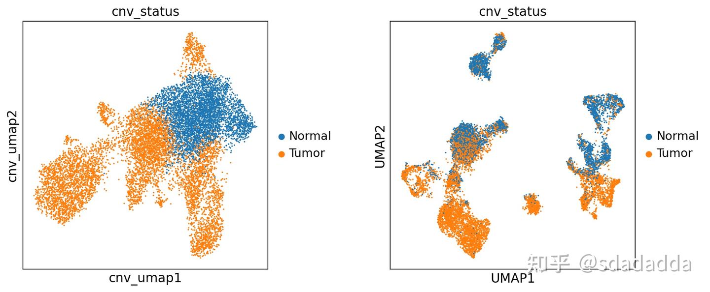 00Python版单细胞初试和infercnvpy拷贝数分析 - 知乎