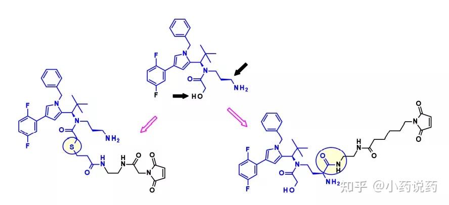 收藏！ADC全景概况（payload，linker，conjugate和Endocytosis） - 知乎
