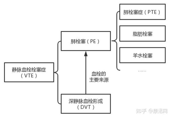 阜外医院顾晴教授：肺栓塞的早期识别与处理策略 - 知乎