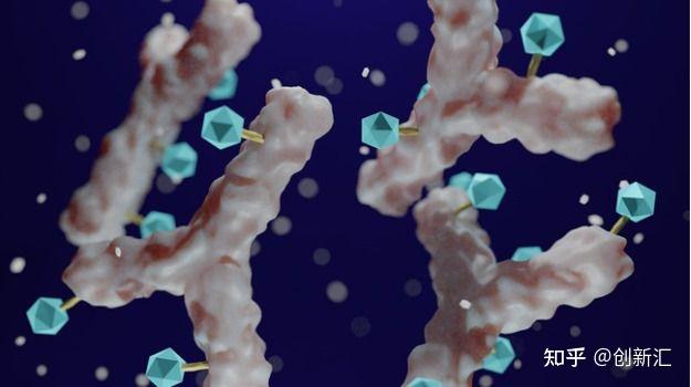 TORL融资1.58 亿美元用于支持claudin 6 (CLDN6)靶点ADC药物开发 - 知乎