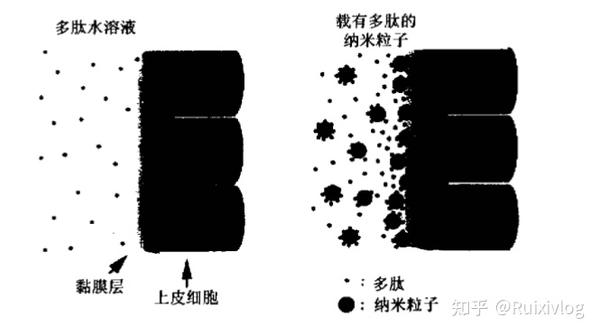 聚电解质嵌段共聚物复合纳米粒子 两亲性嵌段共聚物胶束纳米粒子 知乎