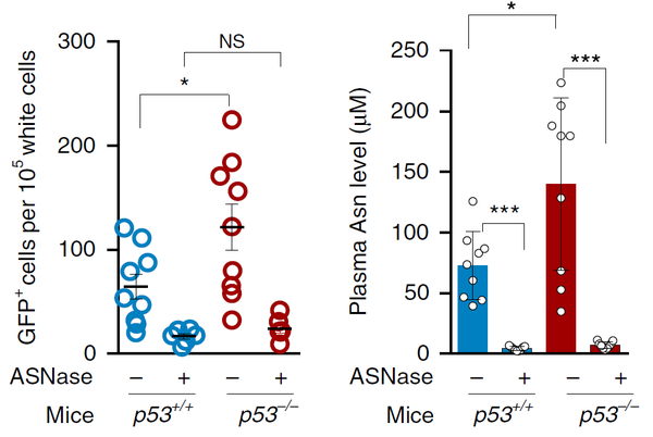 文献阅读：p53介导的Asp-Asn平衡调控LKB1活性并影响细胞存活 - 知乎