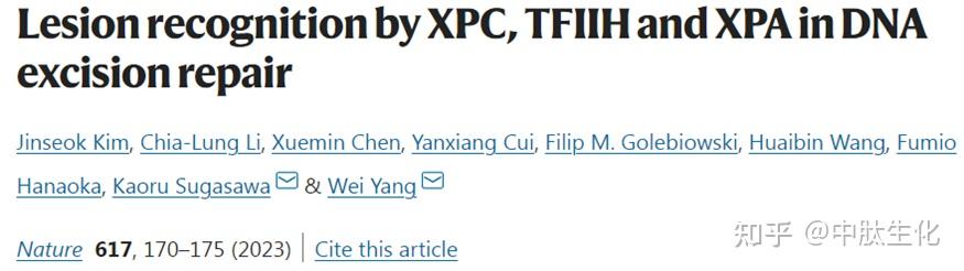 Nature：揭示蛋白XPC、TFIIH和XPA在DNA切除修复中识别DNA损伤机制 - 知乎