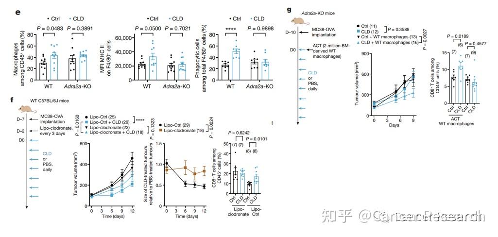 Nature|α2肾上腺素能受体激活引发的肿瘤免疫排斥反应 - 知乎