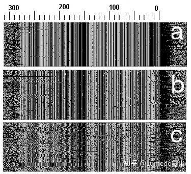 Alu突变的进化——一种巧妙的防御 - 知乎