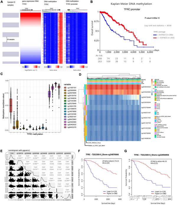 6+TRFC相关预后思路分享，铁死亡姊妹篇！ - 知乎