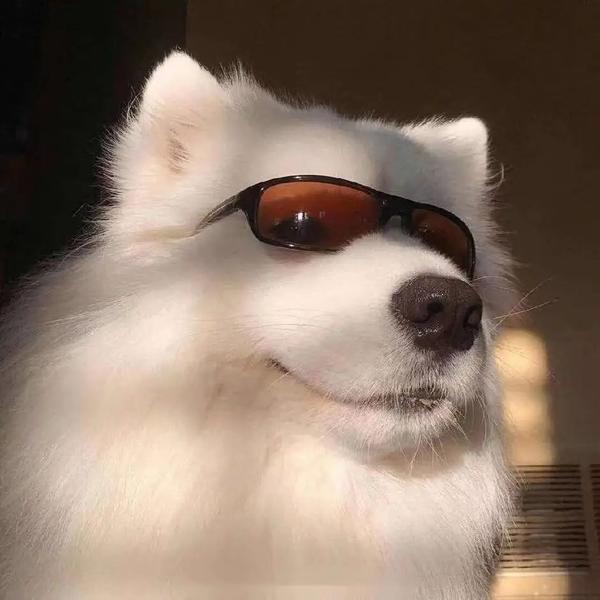 热门头像 | 今日份看着精神状态不好，有点大病的头像~ - 知乎