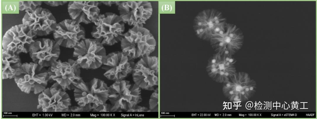 电子显微镜之扫描透射电子显微镜(STEM)简介及案例分析 - 知乎