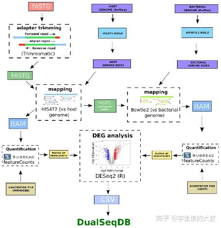文献阅读 | DualSeqDB 数据库与分析流程 - 知乎