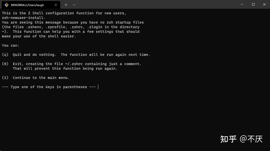 一文搞定 Windows Terminal 设置与 zsh 安装【非WSL】 - 知乎