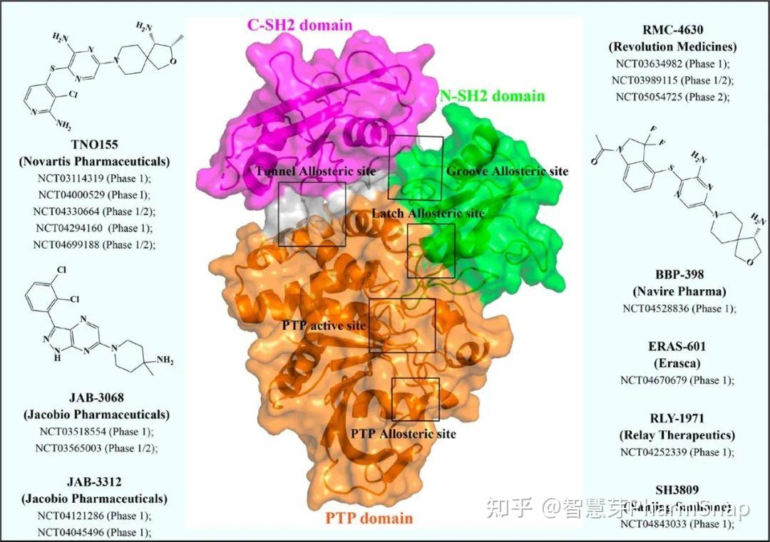 智慧芽Synapse | 靶向蛋白酪氨酸磷酸酶SHP2用于癌症治疗的策略 - 知乎