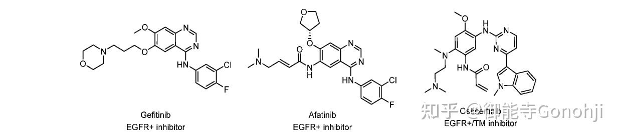 新型EGFR靶向BLU-945的研发之路 - 知乎
