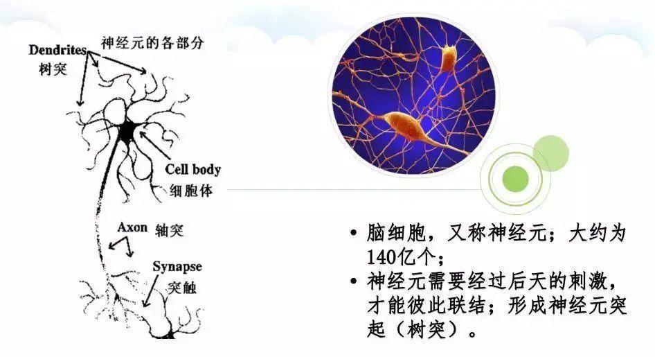 让你变得更聪明的五个行为，激活你的大脑，提升认知能力 知乎