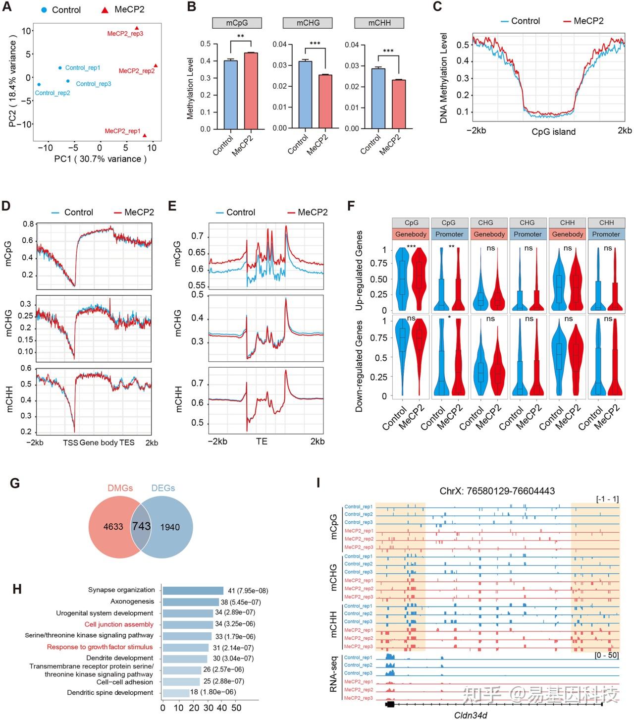 2024项目文章精选：DNA甲基化、RNA甲基化（m6A/m5C）、ChIP-seq、单细胞转录组、宏基因组｜易基因 - 深圳市易基因科技 - 博客园