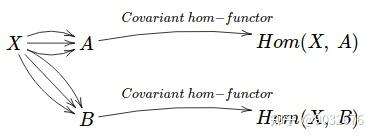 Yoneda Lemma 的证明 - 知乎