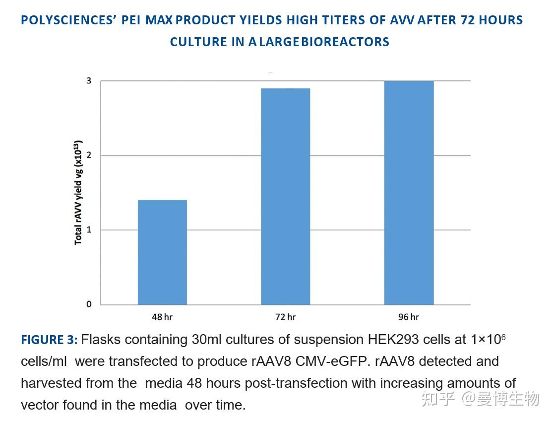 基因与细胞治疗用转染试剂-Polysciences PEI - 知乎