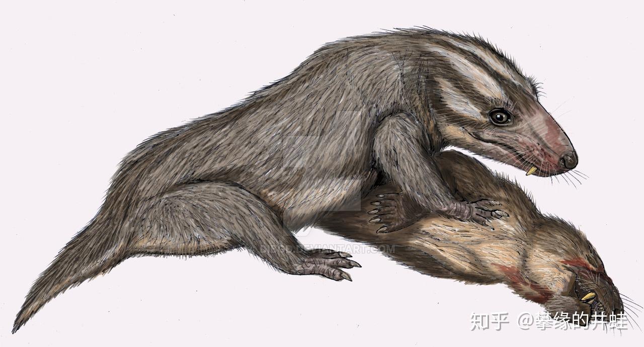 【地球演义】百兽图7：赶狻猊 - 知乎